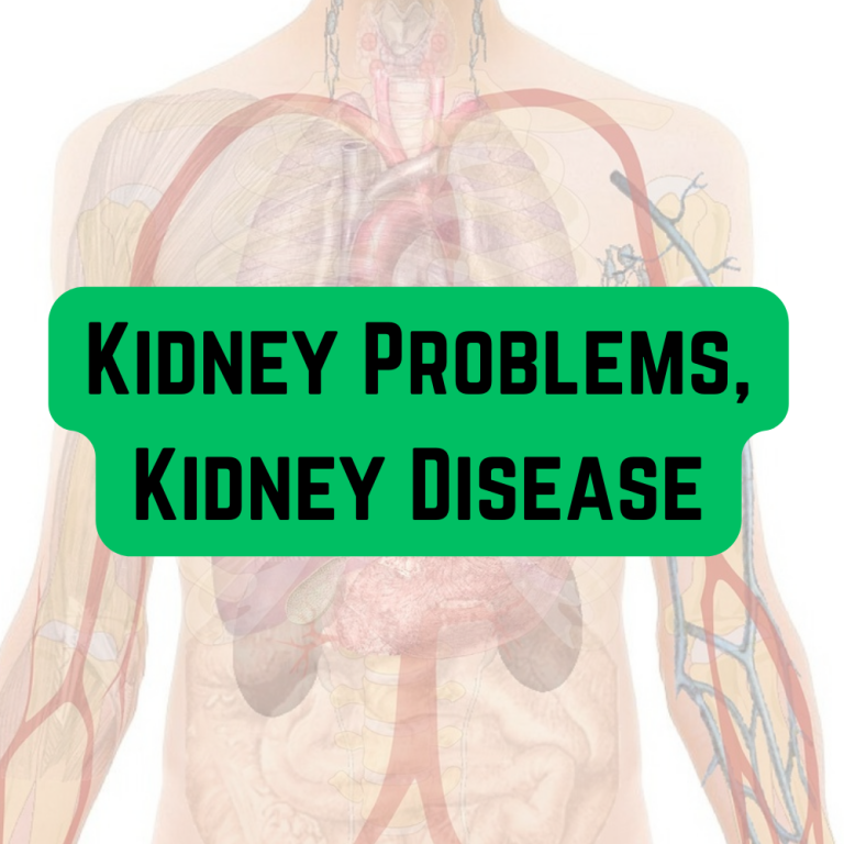 Kidney Problems and Disease - Herbs and Curves