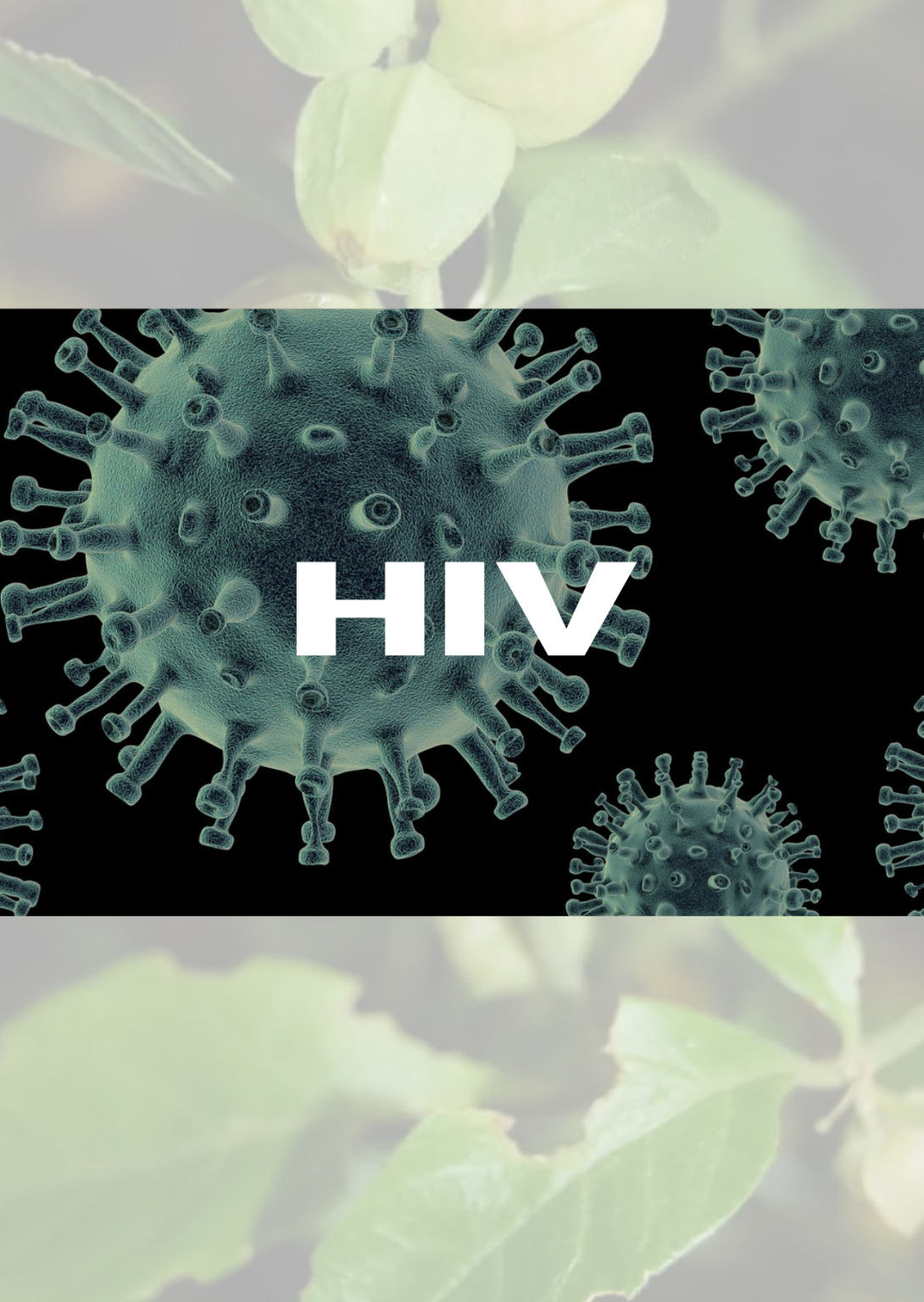 HIV recipe - Herbs and Curves